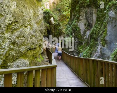 Horma Canyon. Kure Mountains National Park. Horma Canyon hiking trail ...