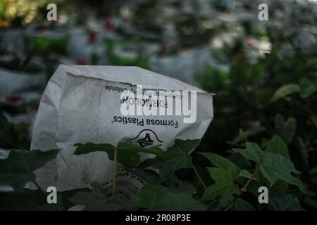Nakuru, Kenya. 07th May, 2023. A general view of tree seedlings ...