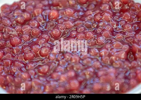 Red wine sago with vanilla cream, traditional cultural dessert from ...