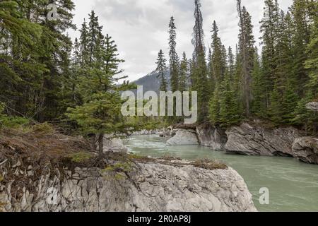 Incredible scenery near Banff National Park in spring time with ...