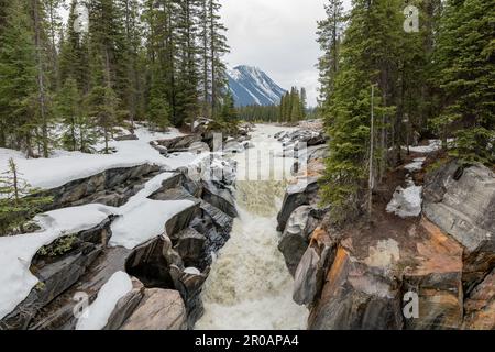 Numa Falls in spring time near Banff National Park with beautiful ...