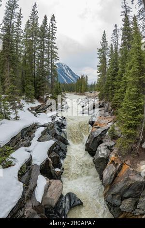 Numa Falls in spring time near Banff National Park with beautiful ...