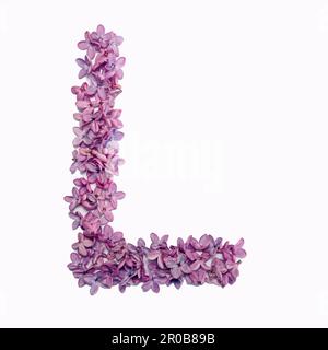 The letter A made of lilac flowers. Square photo with white background ...