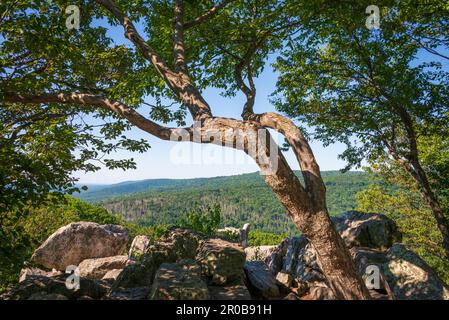 Catoctin Mountain Park, in north-central Maryland Stock Photo - Alamy