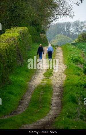 Shotesham, Norfolk,Boudicca way path Stock Photo - Alamy