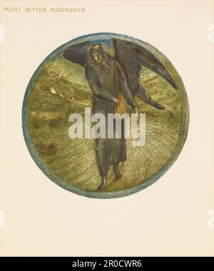 'The Flower Book Most Bitter Moonseed' is an artistic representation ...