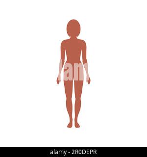 Slender graceful woman in underwear isolated on the white background ...