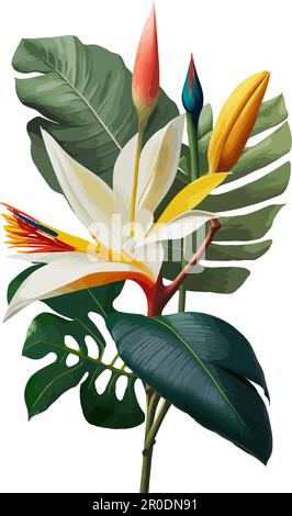 2d flat single tropical flower white background no shadow illustration ...