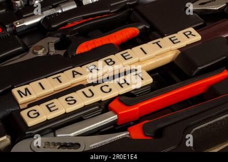 Symbol image employee search, Germany: In a toolbox, letter cubes spell ...