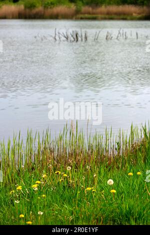 Lake area around Cirencester Cotswolds Stock Photo - Alamy