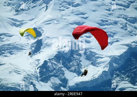 Two people paragliding at the mount Montblanc, Chamonix, France, Europe ...