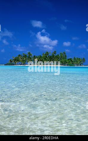 Insel Motu, an Blauer Lagune, Rand des Atolls Rangiroa, Tuamotu Inseln ...