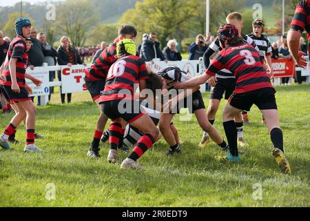 Tumble RFC Scarlets Cup Final 2023 Stock Photo - Alamy