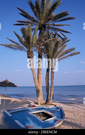Seguia Beach, Djerba Island, Tunisia Stock Photo - Alamy