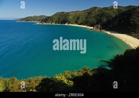 Mutton Cove, beach in a bay in the sunlight, Abel Tasman Coast Track ...