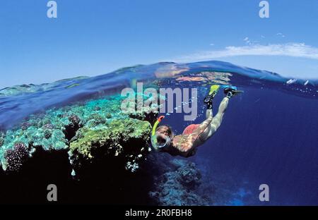 Coral reef Egypt Zabargad Zabarghad Red Sea Stock Photo - Alamy