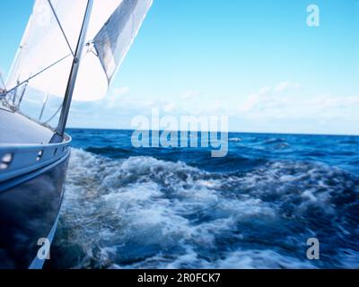 Sailboat cutting through water, Bay of Kiel between Germany and Denmark ...
