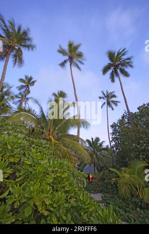 A traditional Fale at Fafa Island Resort, Tonga, South Seas Stock Photo ...