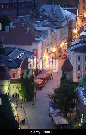 Illuminated viru gate and street in Tallinn during advent time Stock ...