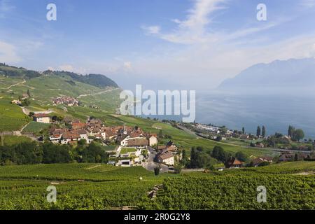 Epesses, Switzerland, Europe, canton Vaud, Lavaux, wine-growing area ...