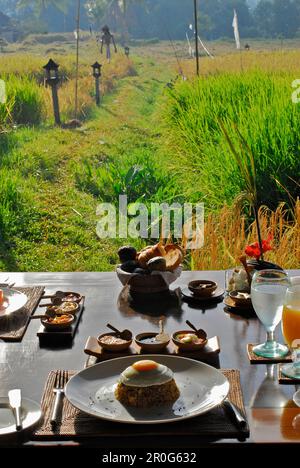 Sunny side egg breakfast, decorated for kids, with animal character ...