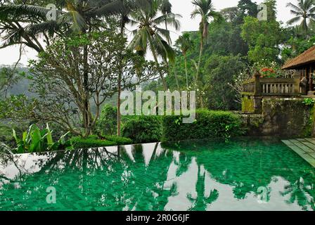 The deserted pool of the Amandari Resort in the evening, Yeh Agung ...