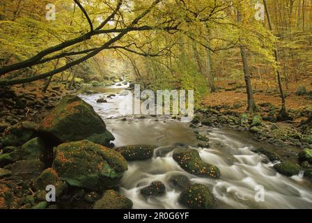 Irrel waterfalls, cataracts of Pruem river, near Irrel, Eifel ...