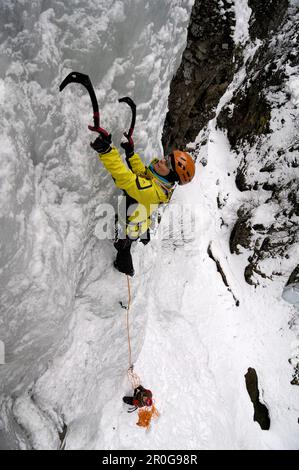 A single adult woman ice climbing in Ouray ice Park in the San Juan ...