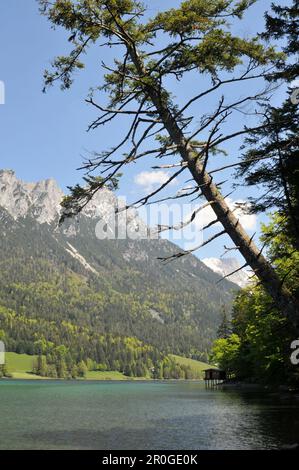 Lake Hintersteiner See near Scheffau at Wilder Kaiser mountains, Tyrol, Austria Stock Photo - Alamy