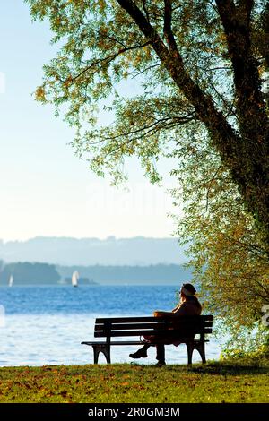 Benches on the west side of the Fraueninsel, Chiemsee, Chiemgau, Upper ...