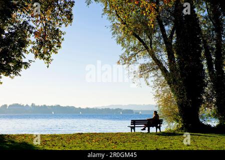 Benches on the west side of the Fraueninsel, Chiemsee, Chiemgau, Upper ...