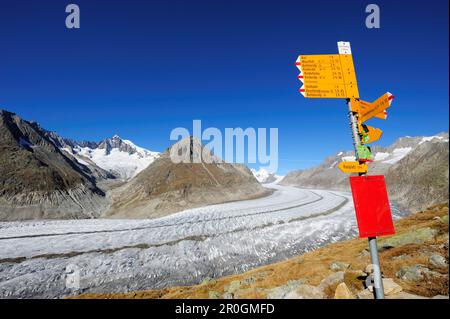 Signpost above glacier Grosser Aletschgletscher with Aletschhorn ...