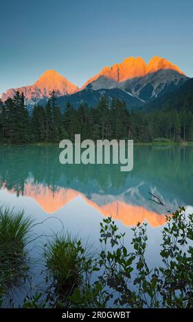 Evening atmosphere in the mountains, Carinthia, Austria Stock Photo - Alamy