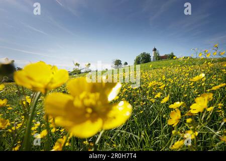 Saint-Jean-Baptiste Church, Holzhausen, Munsing, Bavaria, Germany Stock ...