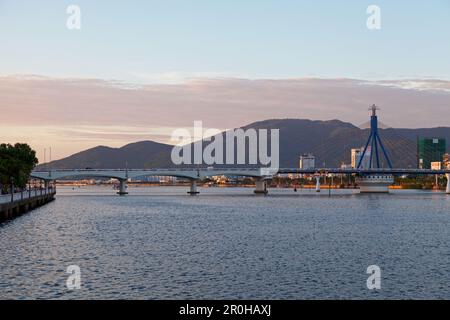 Vietnam, Da Nang, Cau Song Han Bridge, Han River Stock Photo - Alamy