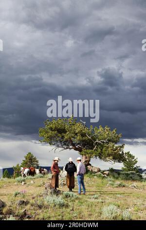 USA, Wyoming, Encampment, wrangelrs on a mountain top wait for trail ...