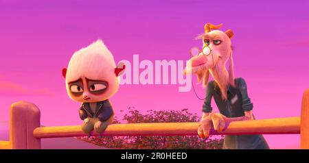 RALLY ROAD RACERS, Zhi (voice: Jimmy O. Yang), 2023. © Viva Pictures ...