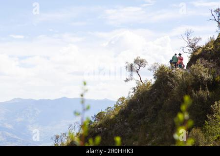 Drovers leading pack animals out of the Ishinca Valley, Pashpa, Huaraz ...