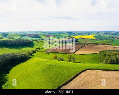 Fields and Farmlands in spring from a drone, Devon, England, Europe ...