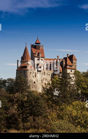 Bran Mountain in Romania Europe Stock Photo - Alamy