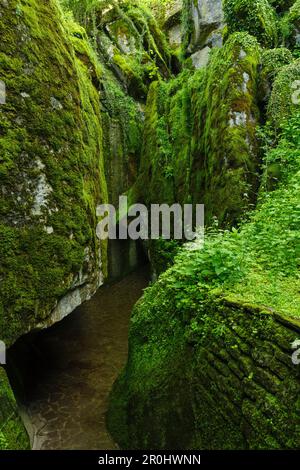 Sasso spicco, Steps to grotto with bed from St. Francis, La Verna ...