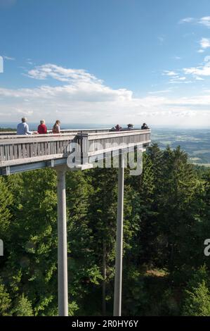 Spruce forest and clouds in Bavarian Alps, Germany. Aerial view from ...