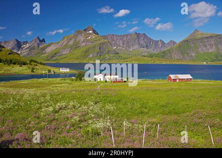 Wooden house, Andopsnes at Selfjorden, Isle of Moskenes, Lofoten ...