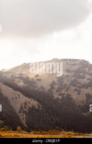 Top of Hurricane Hill Panorama at Hurricane Ridge in The Olympic ...