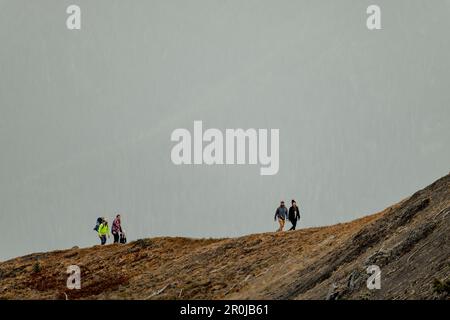 A young kids in a park walk Stock Photo - Alamy