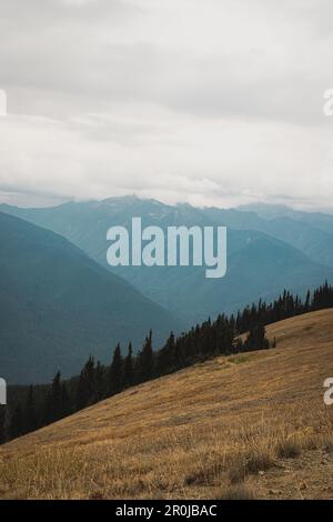 Blue ridge ridge mountain layers with clouds in distance and trees on ...