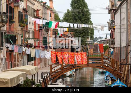 typical, washing line strung outside window above canal, Castello ...