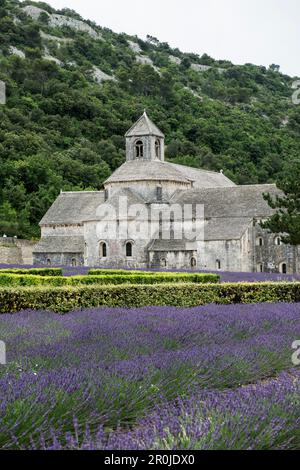 The Senanque Abbey near Gordes is one of the best preserved Cistercian ...