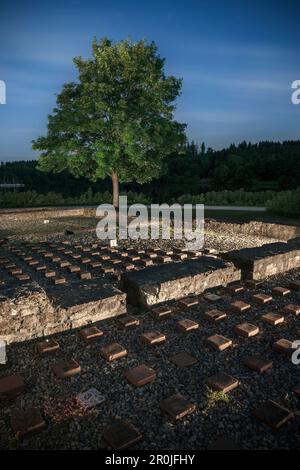ruins of Roman buildings, Limes border wall of Roman Empire Park Rainau ...