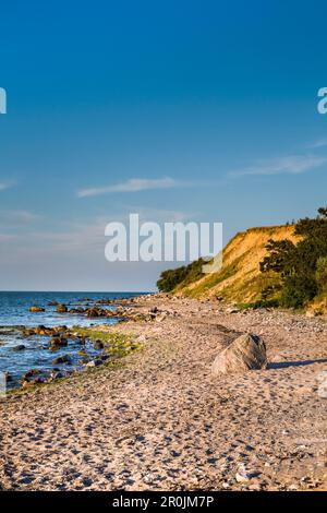 Beach and cliffs, Brodtener Ufer, Niendorf, Baltic Coast, Schleswig ...